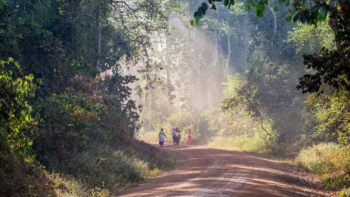 Meet the Team: An Interview with Millar Cameron's Consultant Silvia ...